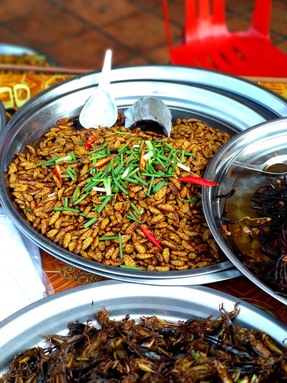 Cambodia's Spider Market Between Phnom Penh & Siem Reap - The Perpetual ...