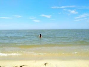 Complete Guide to Turtle Beach (Pantai Kerachut), Penang