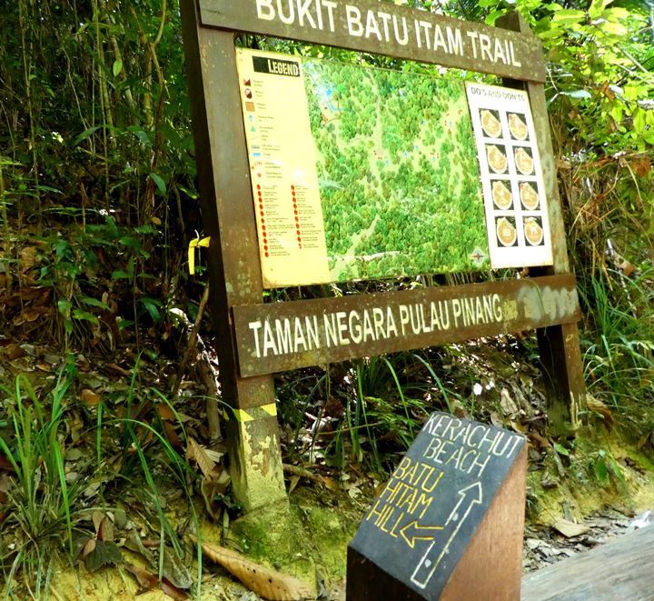 Hike From Penang National Park to Turtle Beach (Pantai Kerachut)