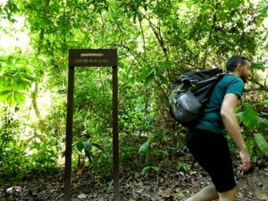 Complete Guide to Turtle Beach (Pantai Kerachut), Penang