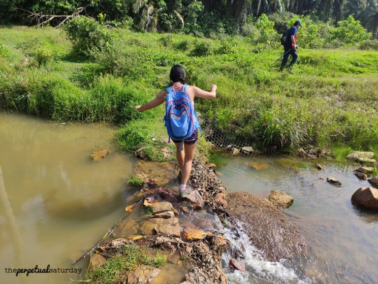 Hike From Bukit Denai Alam to Elmina Valley Rainbow Bridge - The ...