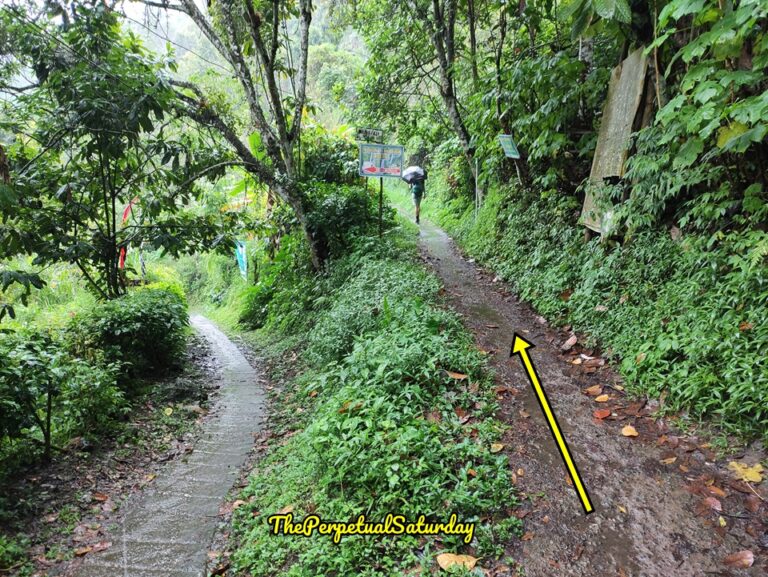 Golden Valley Waterfall: Complete Guide with Hiking Directions