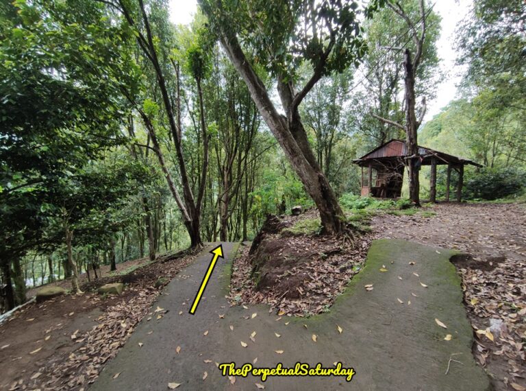 Melanting Waterfall: A Complete Guide with Hiking Directions