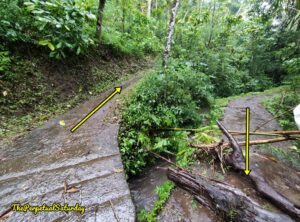 Red Coral Waterfall: Complete Guide with Hiking Directions