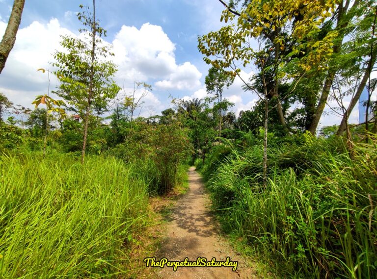 Everything You Need To Know Before Visiting Taman Tugu