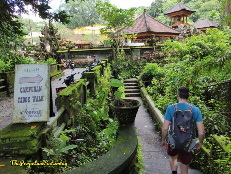 The Campuhan Ridge Walk: Complete Guide with Hiking Directions