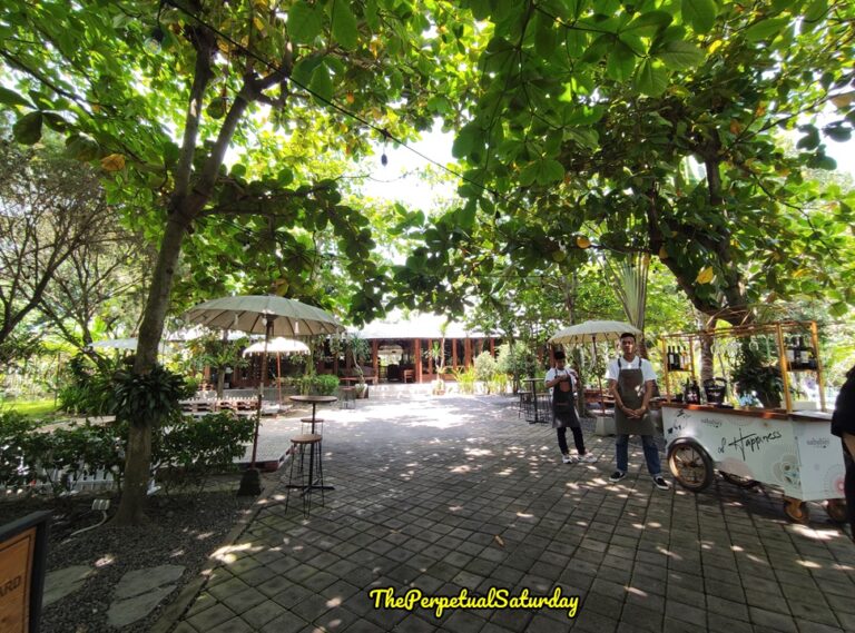 What to Expect on the Sababay Winery Tour - The Perpetual Saturday