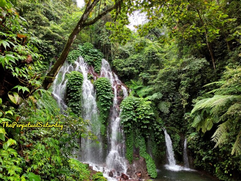 Everything To Know Before Visiting Banyu Wana Amertha Waterfall