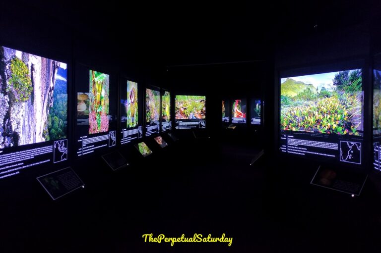 GMBB: The Creative Arts Mall - Is It Worth Visiting?