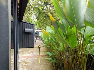 Pokok KL Cafe @ Mahsa Avenue - Menu, Prices & Review