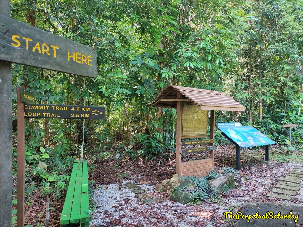 Santubong Loop Trail Hiking Guide: What To Expect On The Trail