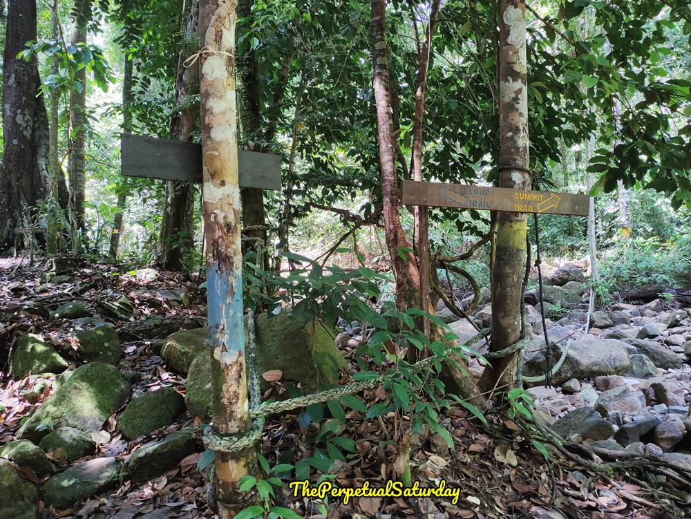 Santubong Loop Trail Hiking Guide: What To Expect On The Trail